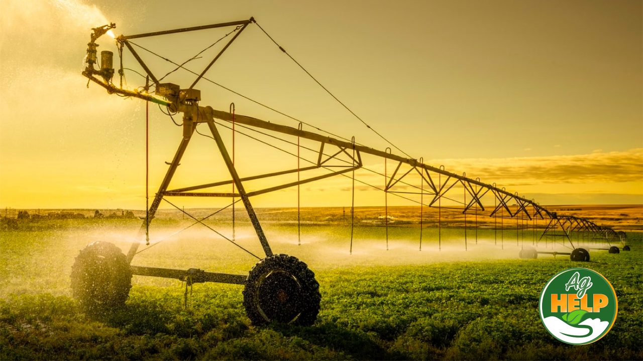 AgHelp connects growers and agricultural workers - MSU Innovation Center