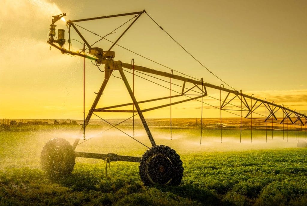 Michigan Wheat Month - MSU Innovation Center