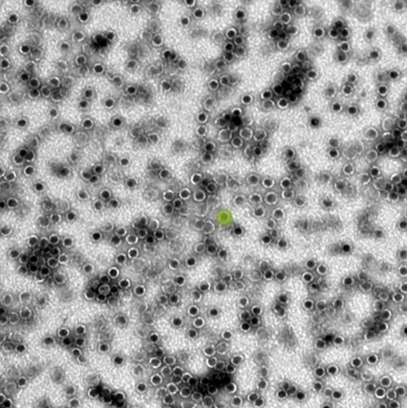 New Energy Frontier Research Center Create Sustainable Future Through ...