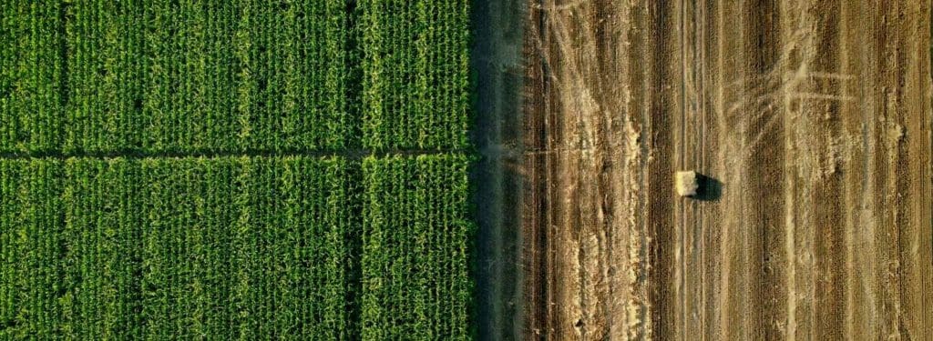 MSU creates worldly food solutions- MSU Innovation Center