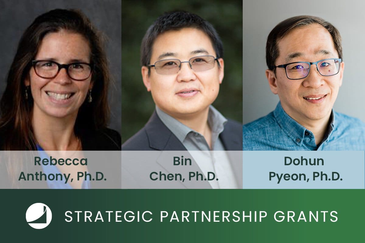 MSU Research Foundation and MSU Announce Recipients of 2023 Strategic ...