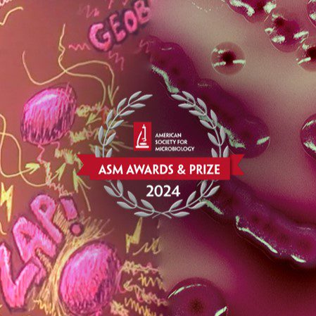 NatSci Researchers Receive ASM Awards- MSU Innovation Center