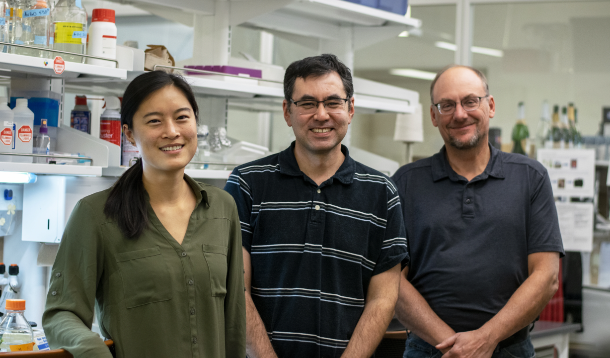 Response to Environmental Threats - MSU Innovation Center