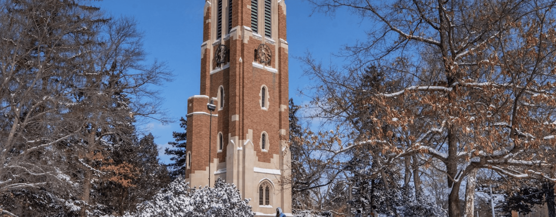 Online graduate program high ranking- MSU Innovation Center